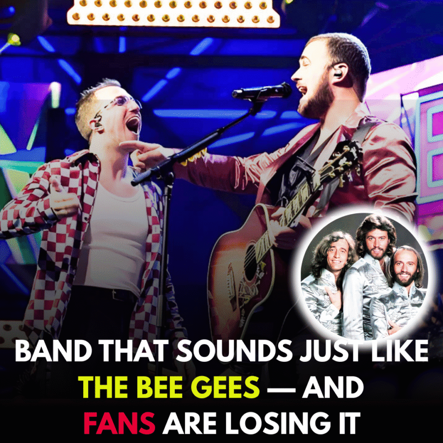 A New Band Brings Back the Classic Bee Gees Sound; See Their Amazing ...