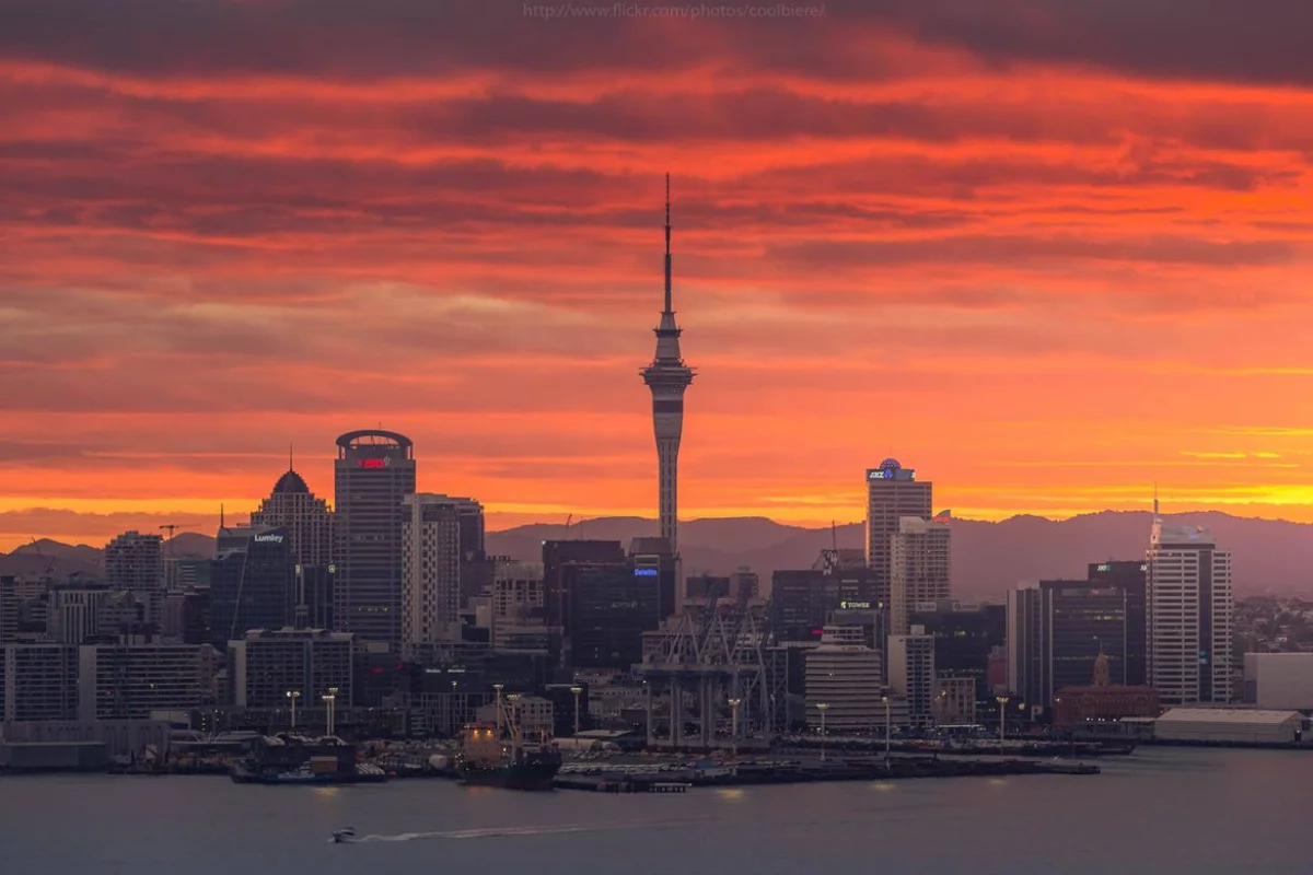 13 Songs That Bring You Straight to Auckland’s Calm Energy