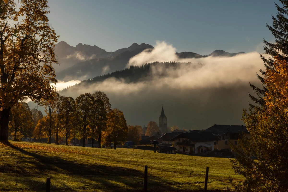 13 Good-Mood Wake-Up Songs to Start Your October Mornings