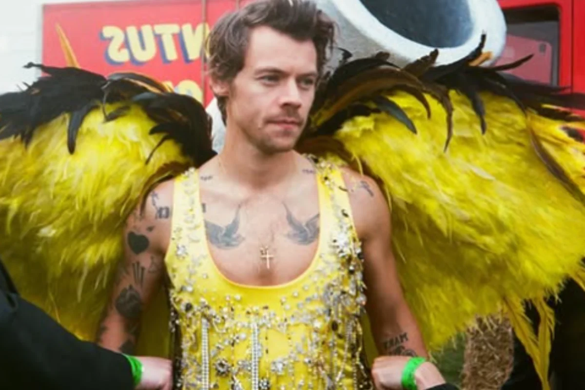 The Best of Harry Style's Greatest Hits - Top 13 Songs!